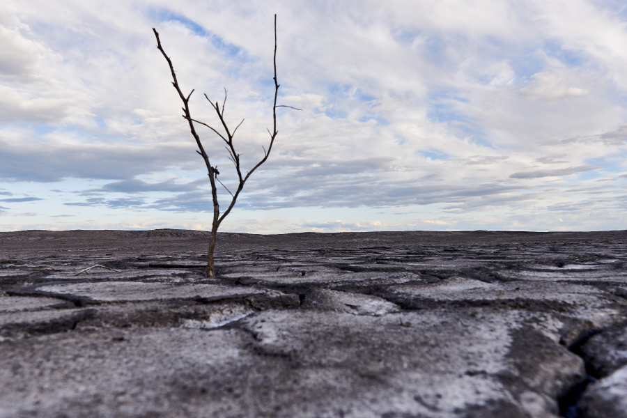 ¿Qué es la huella hídrica y cómo nos afecta?