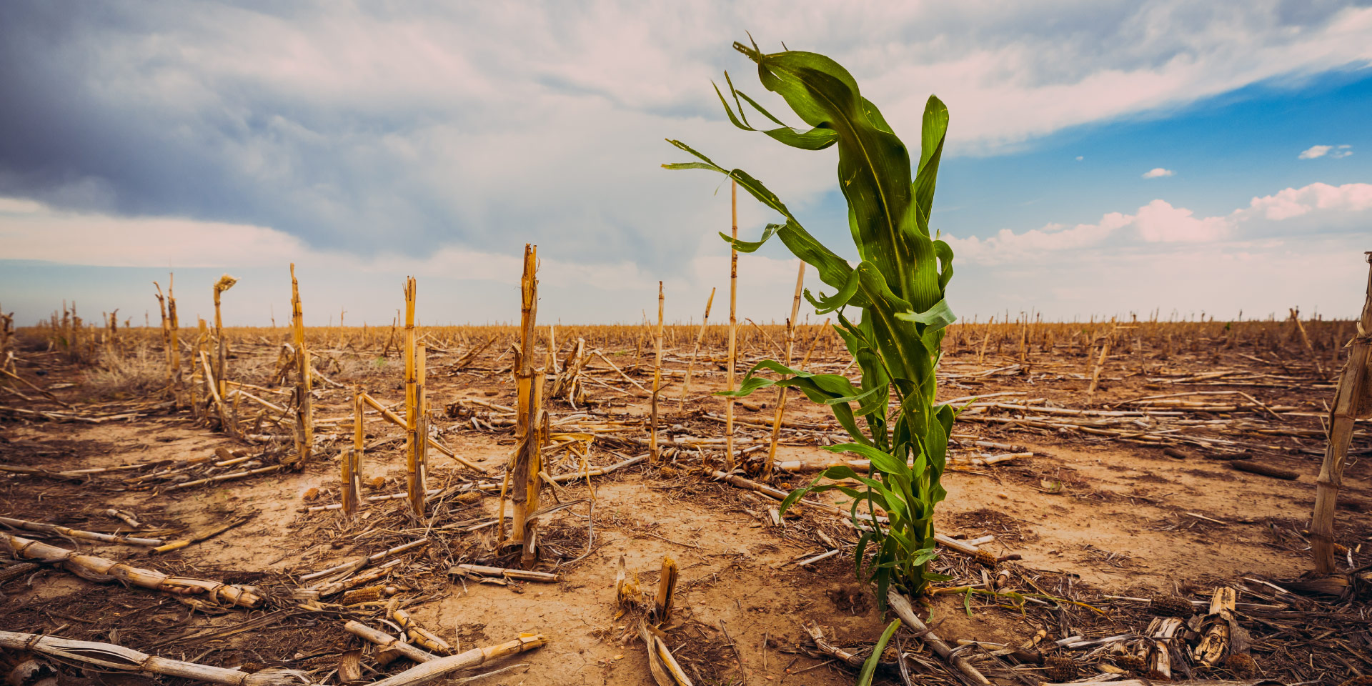 Conoce Las Causas Del Cambio Climático